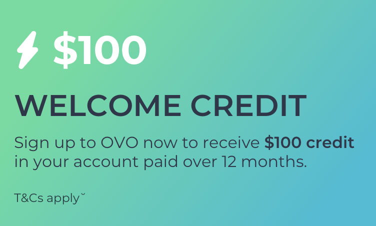 The EV Plan — OVO Energy